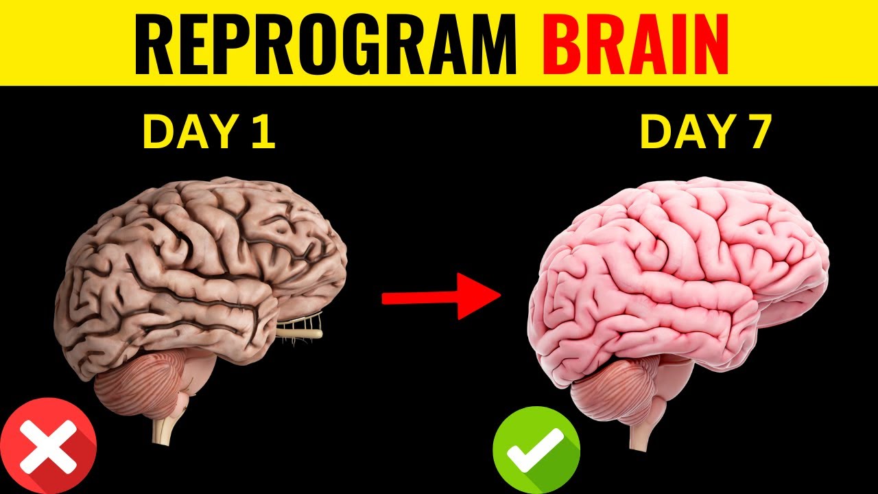 Reprogram Your Brain in Just 7 Days: A Transformational Journey - YouTube