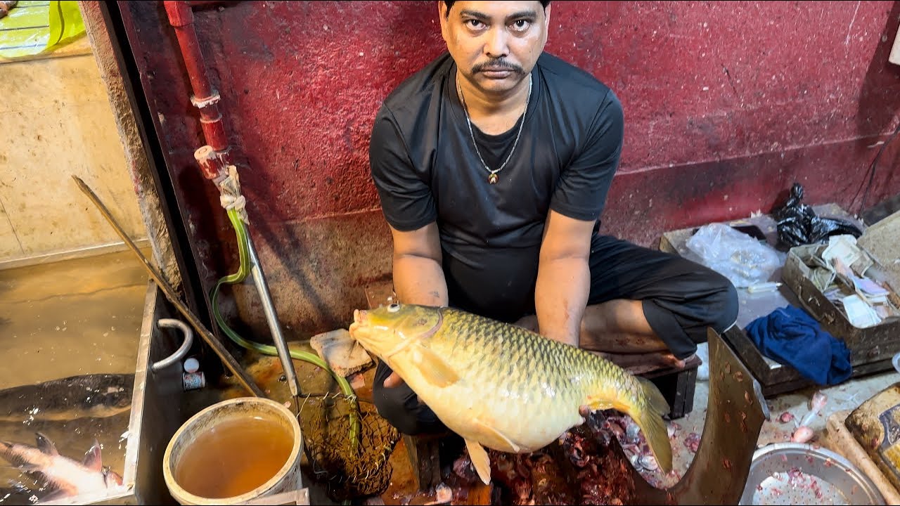 Big Golden Rohu Fish Live cutting #fish cutting #live cutting - YouTube