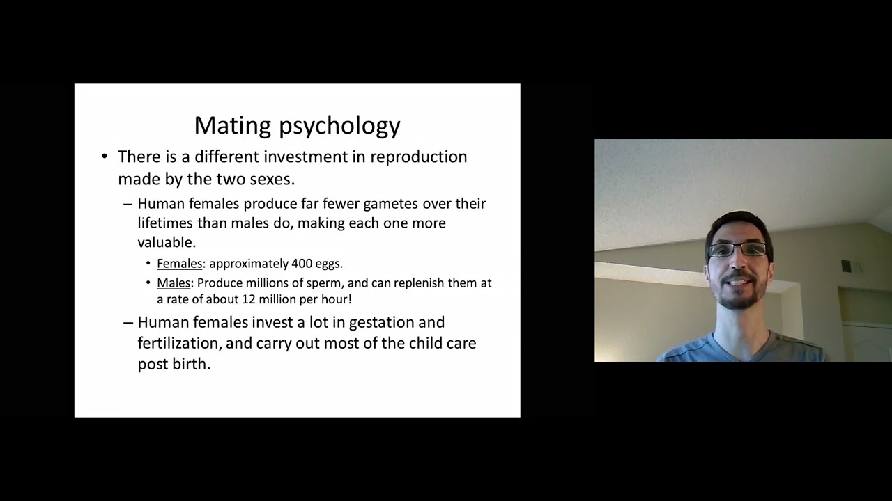 Introduction to human mating: Long term mating from female perspective ...