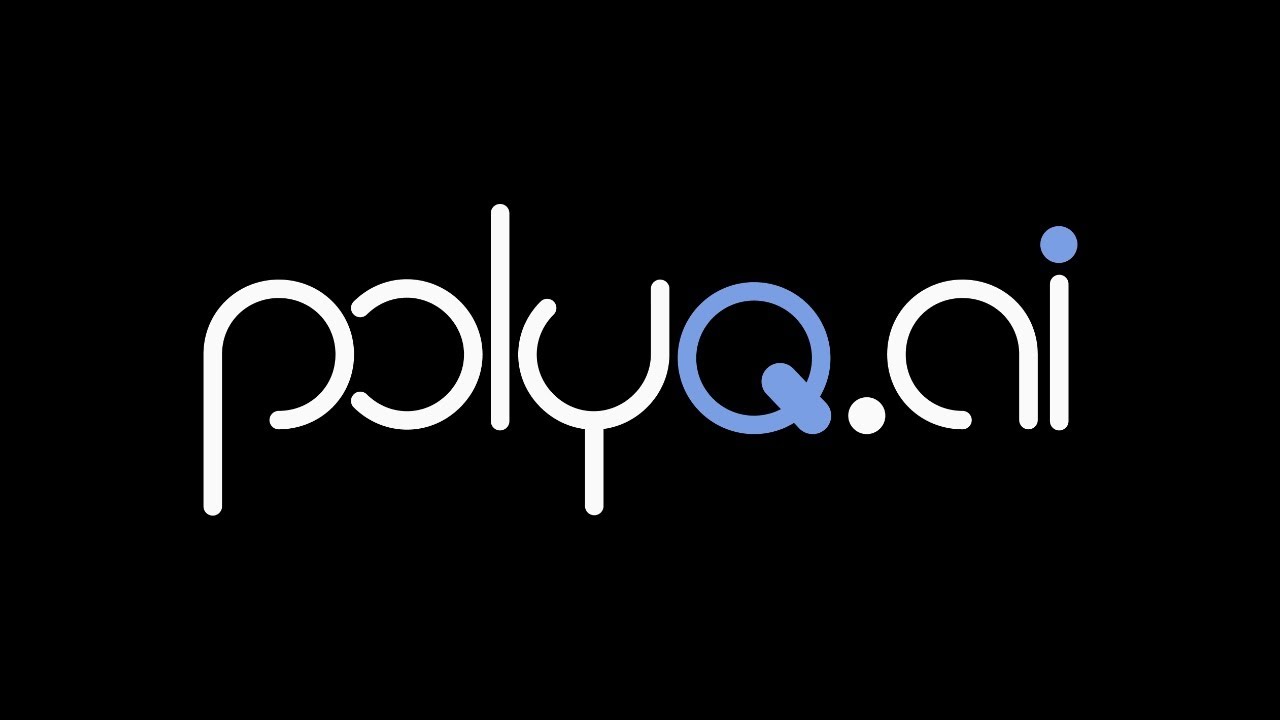 Introduction to PolyQ.ai - YouTube