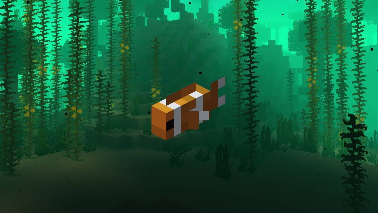 NEMO FOUND! - YouTube