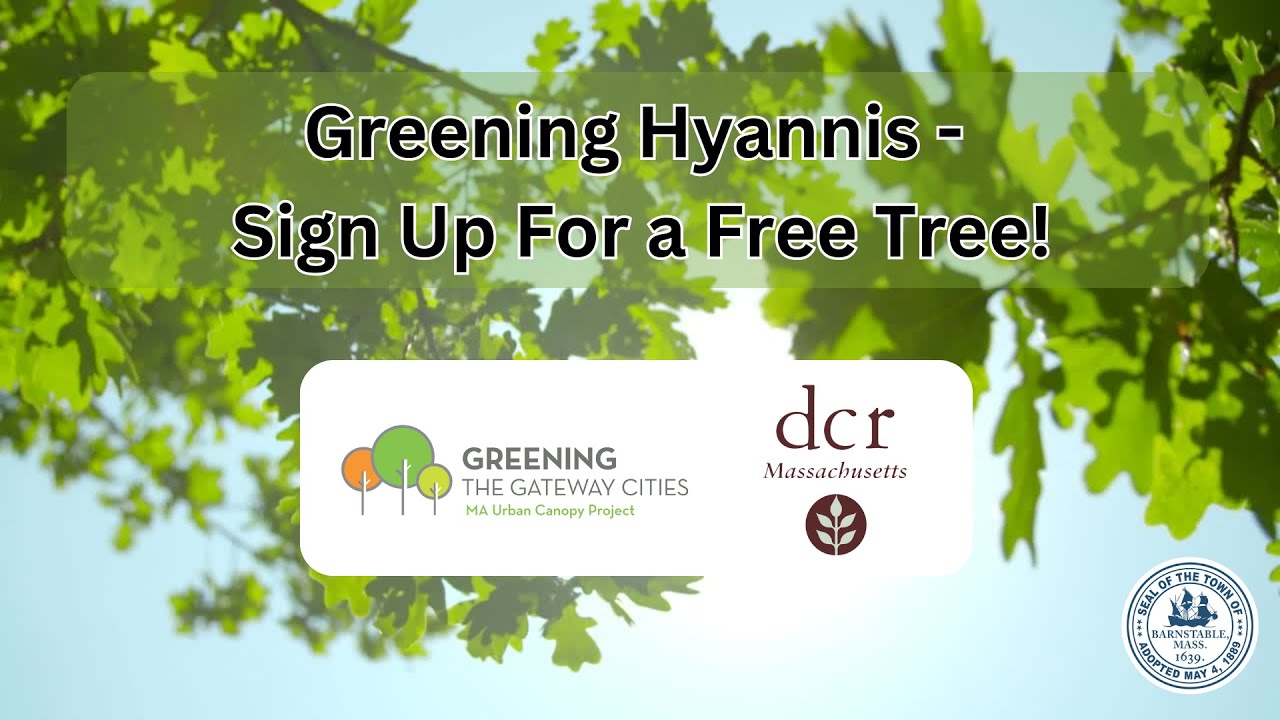 Greening Hyannis Program Promotional Video - YouTube