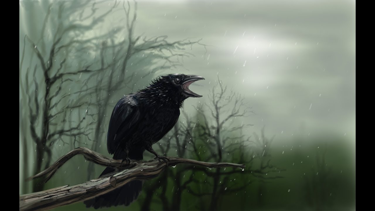 Raven in the rain - speed painting - YouTube
