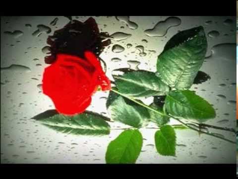 gelen seni soruyor