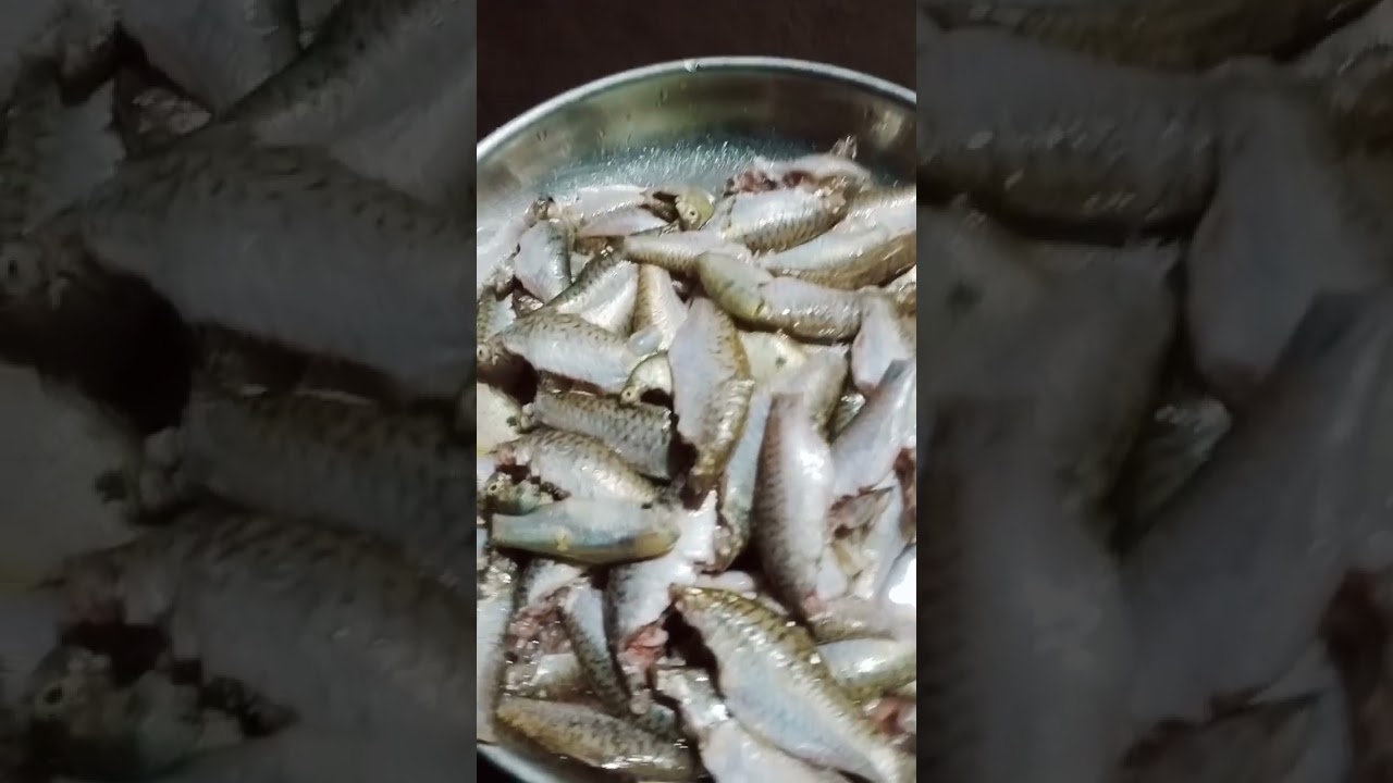 tasty puzha mean curry#fvrt fish#tasty# - YouTube