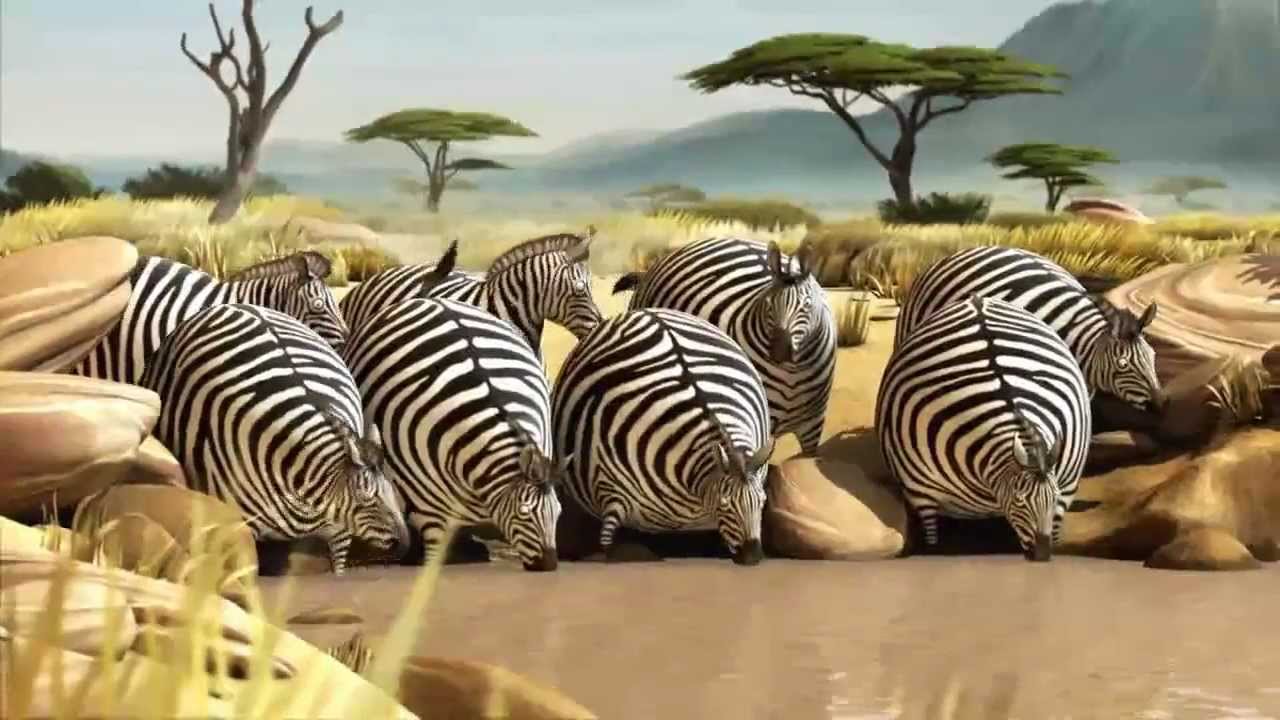 Rollin' Safari! - YouTube