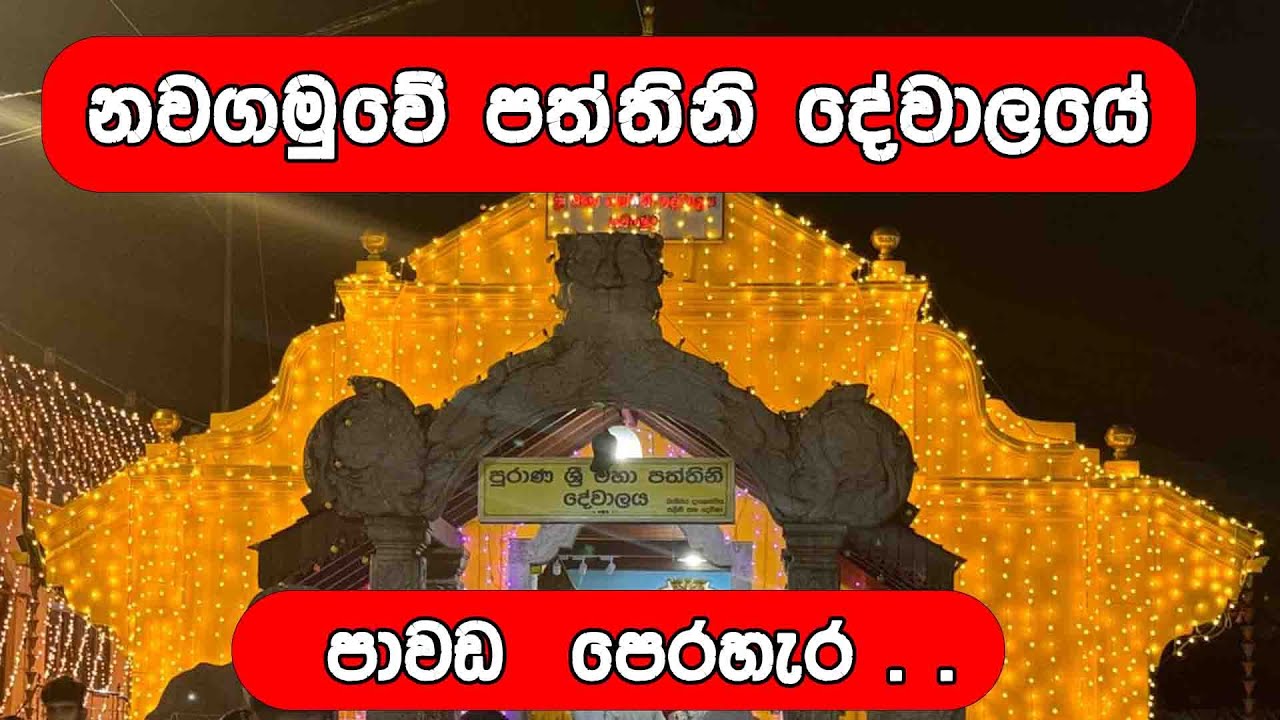 Paththini dewalaya nawagamuwa pawada perahara නවගමුවේ පත්තිනි දේවාලයේ ...