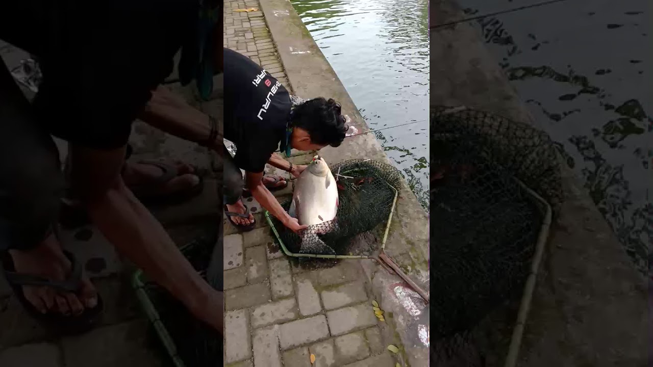 Mancing mania - YouTube