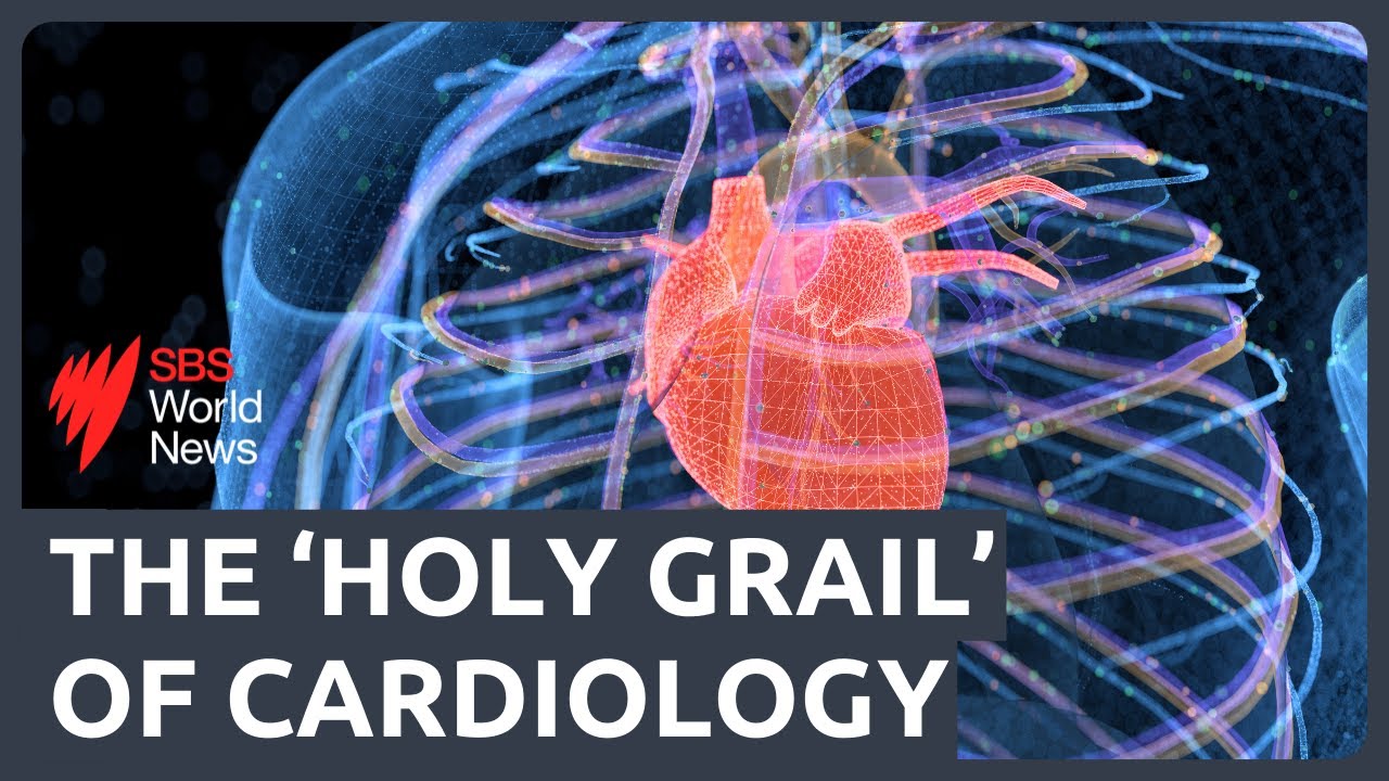 World's first valveless, artificial heart to be rolled out after ...