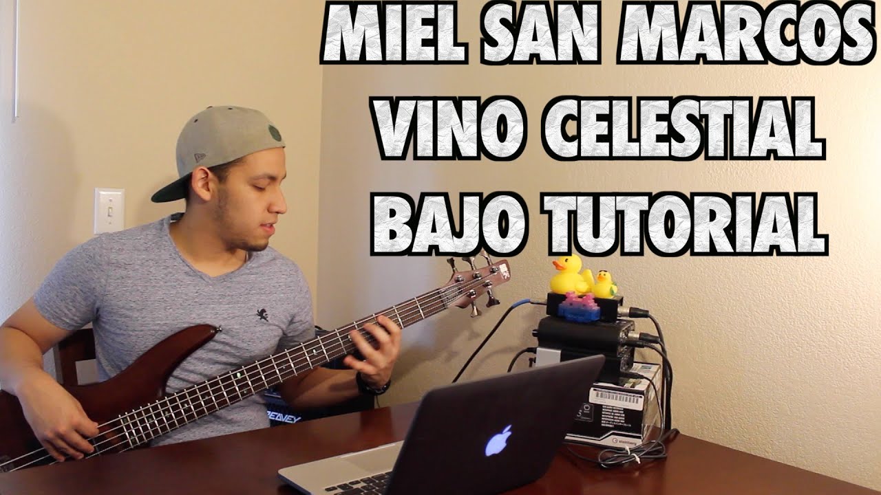 Miel San Marcos Vino Celestial Bajo Tutorial With Tabs (HD) - YouTube