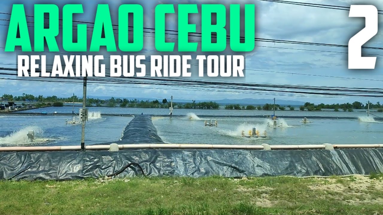 ARGAO CEBU | RELAXING BUS RIDE TOUR - YouTube