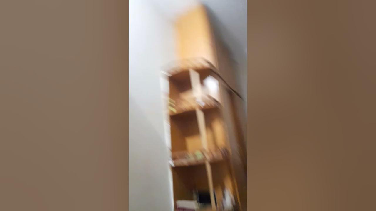 My first velog #vlogs - YouTube