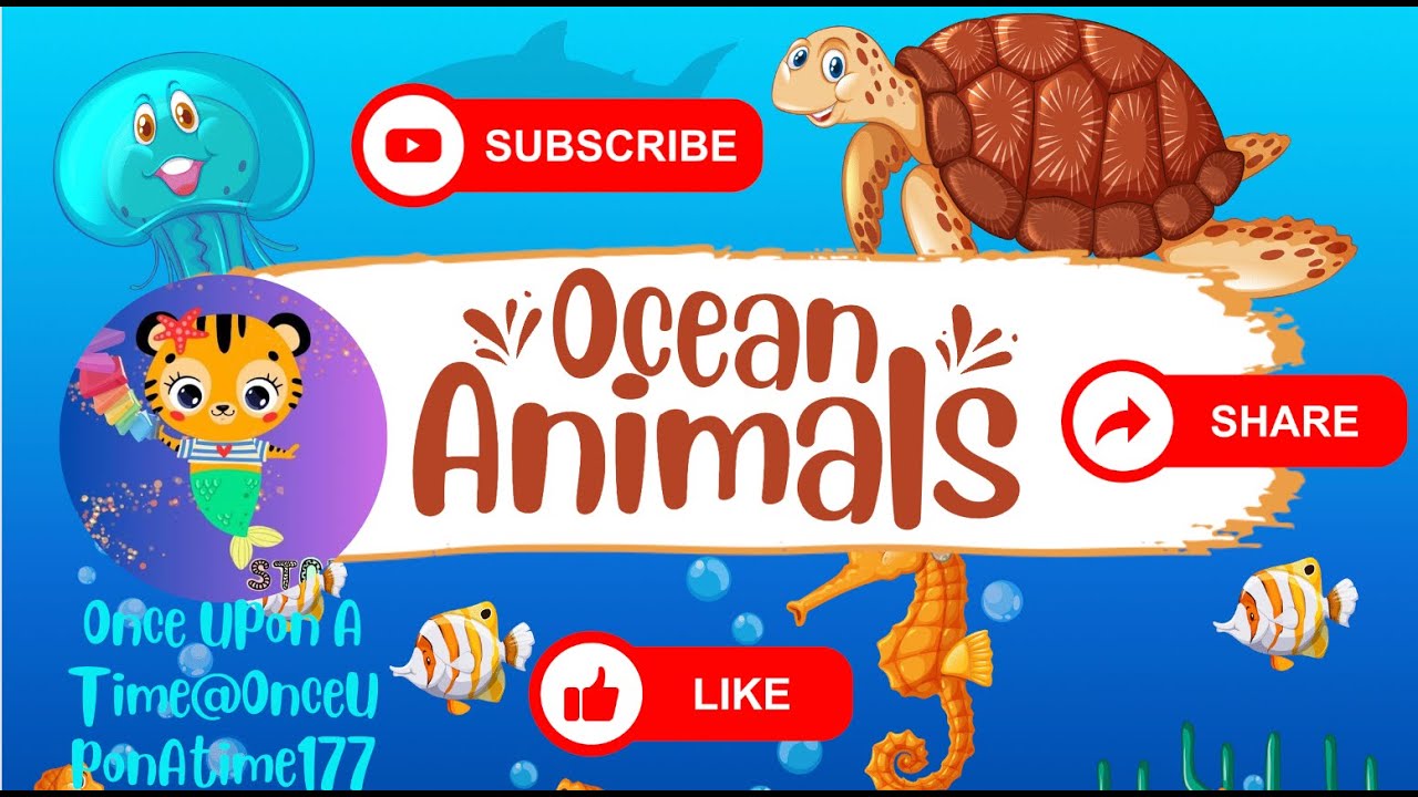 KIDS BOOK READ ALOUD -Sea Animals Story - YouTube