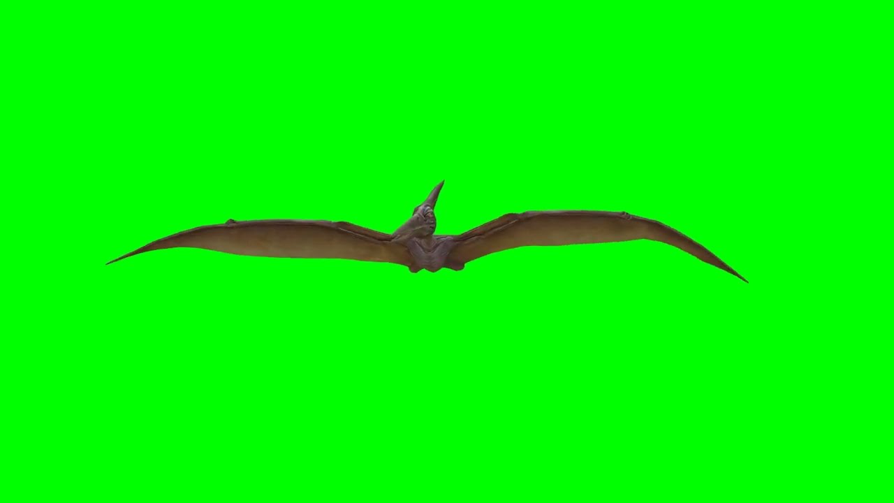 Pterodactyl Dinosaur flying on Green screen | Bird dinosaur chroma key ...