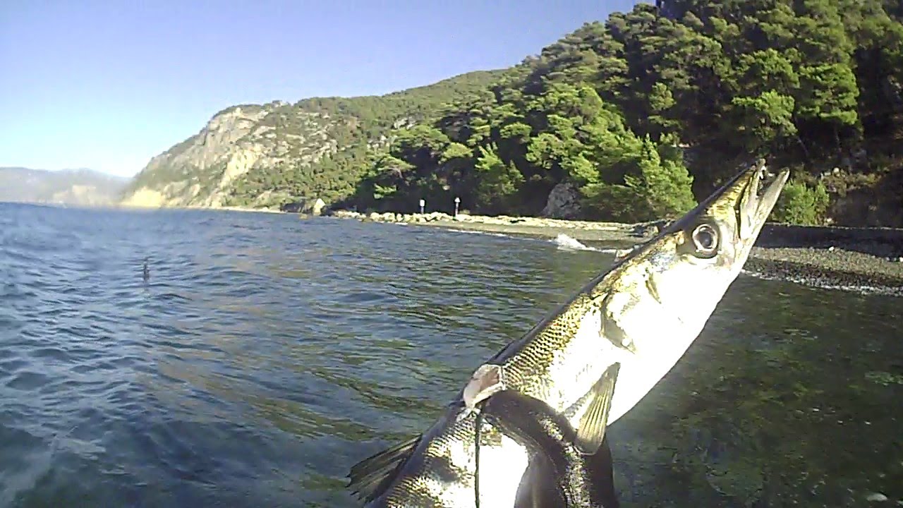 ψαροντουφεκο ρηχο καρτερι(shallow spearfishing) - YouTube