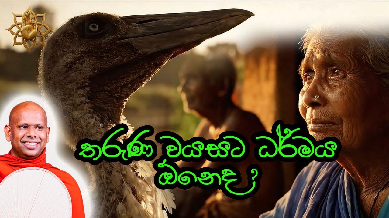 තරුණ කාලේම ධර්මය වැඩිය යුතු ඇයි? | ඒකායන මග්ග | Ekayana Magga #buddha # ...