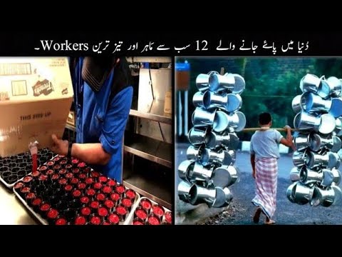 12 | Fastest worker in the world 😱😱😱| Amazing workers | Mind blowing ...