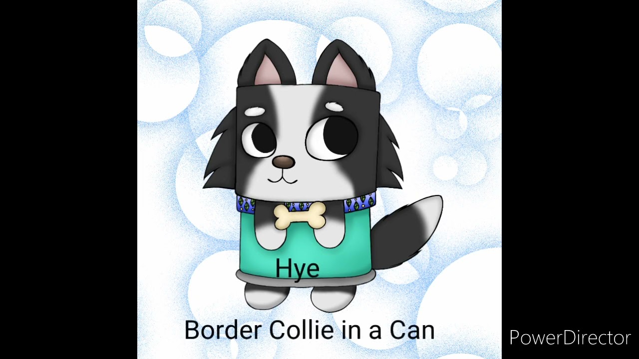 All of My Canimals OCs - YouTube