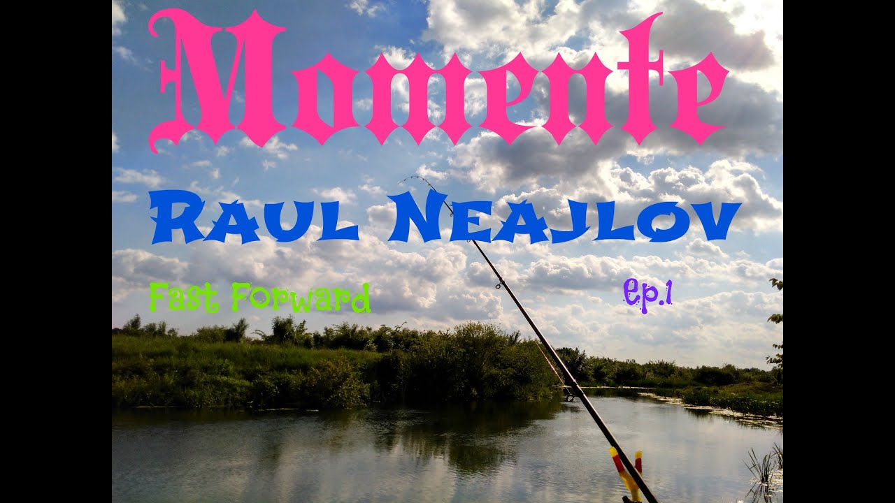 MOMENTE - Raul Neajlov - YouTube