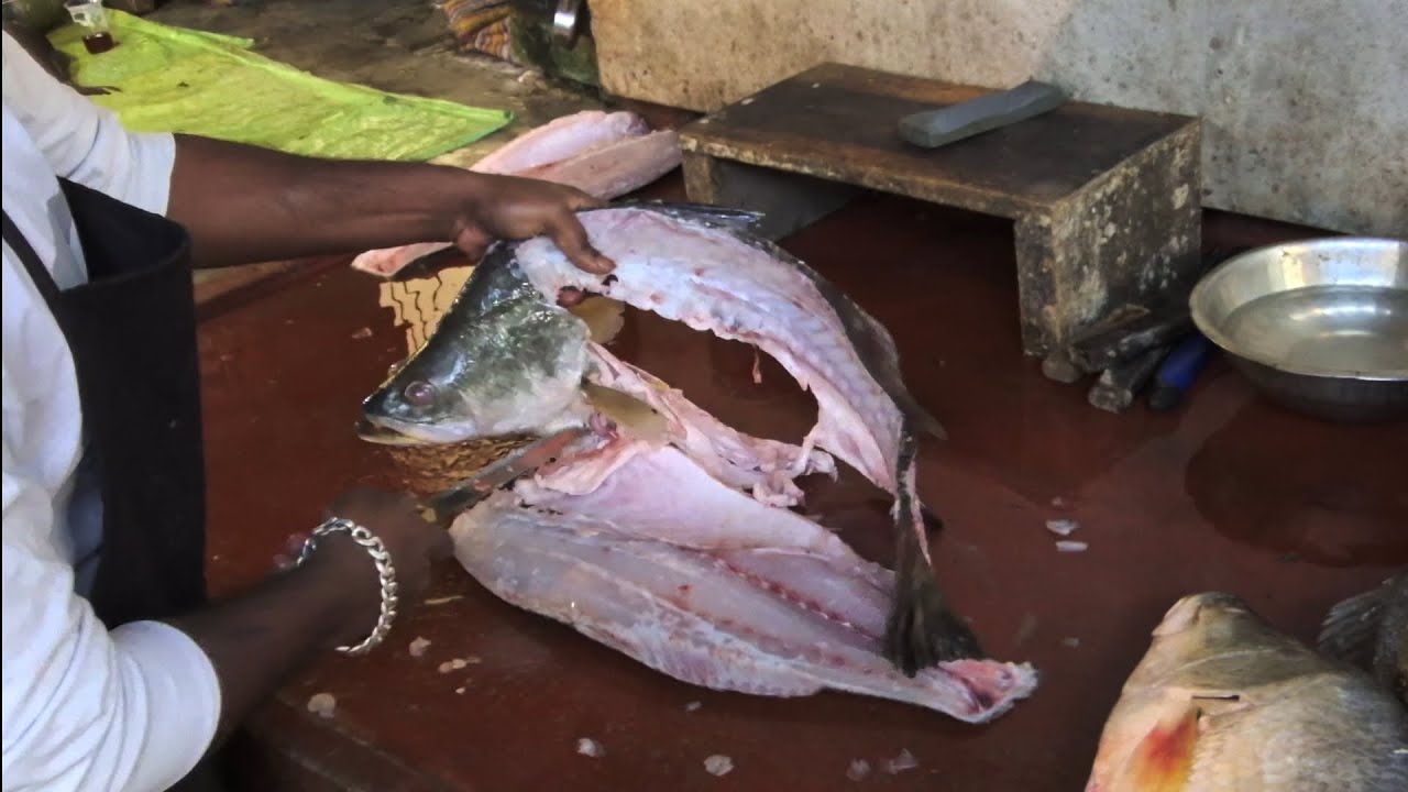 amazing vatki cutting skills in dankuni fish market 👌 50kg part-1 - YouTube