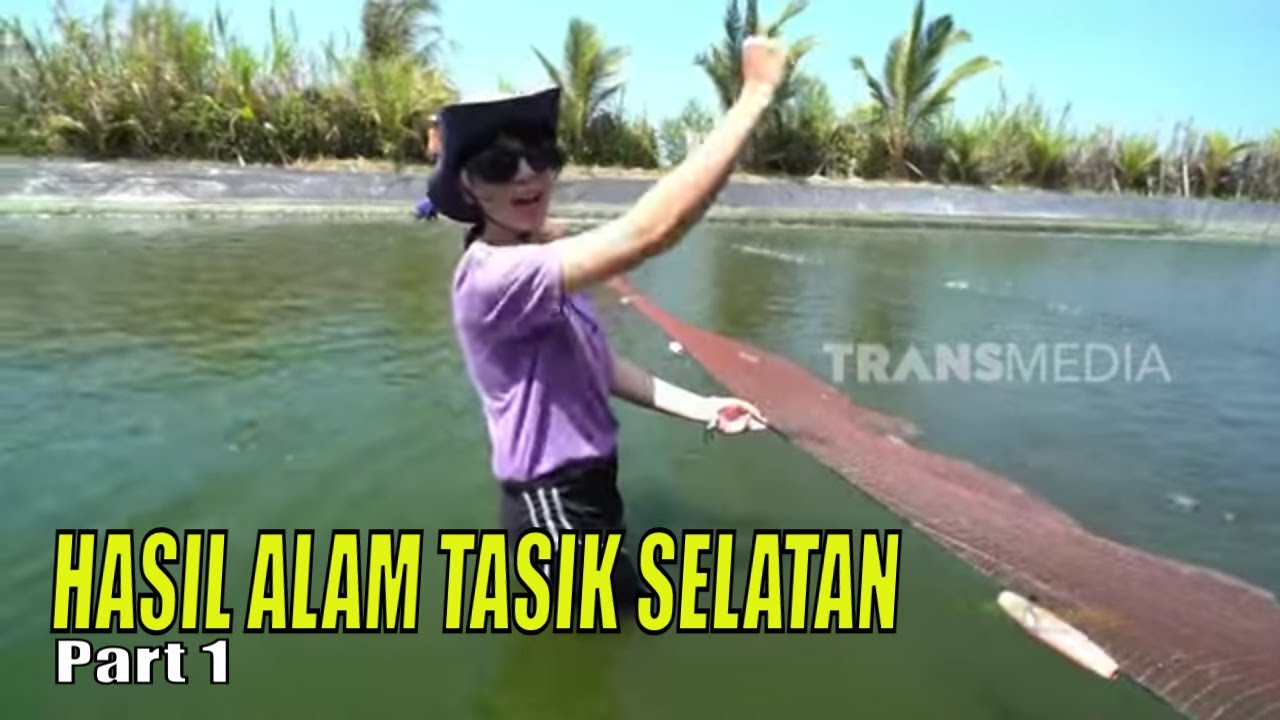 HASIL ALAM TASIK SELATAN | JEJAK PETUALANG (11/11/23) Part 1 - YouTube