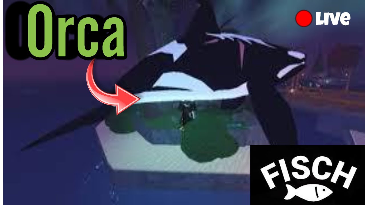 NEW ORCA FISCH UPDATE LIVE WITH FRIENDS - YouTube