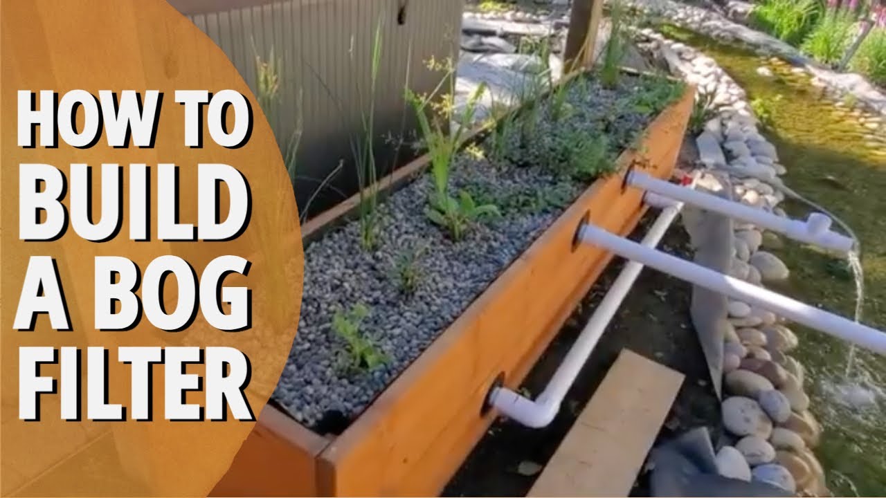 Algae vs Bog Filter (Timelapse) DIY Bog Filter For Pond - YouTube