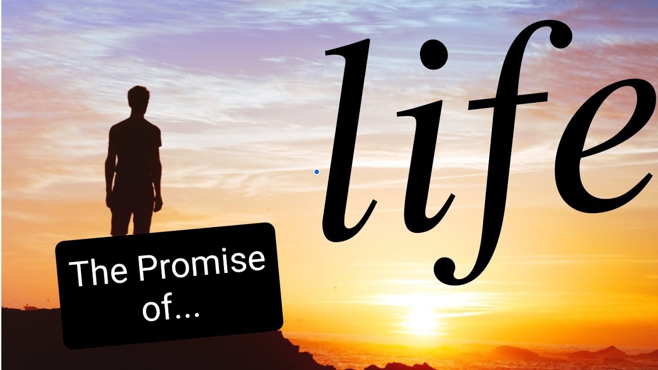 The Promise of Life...! - YouTube