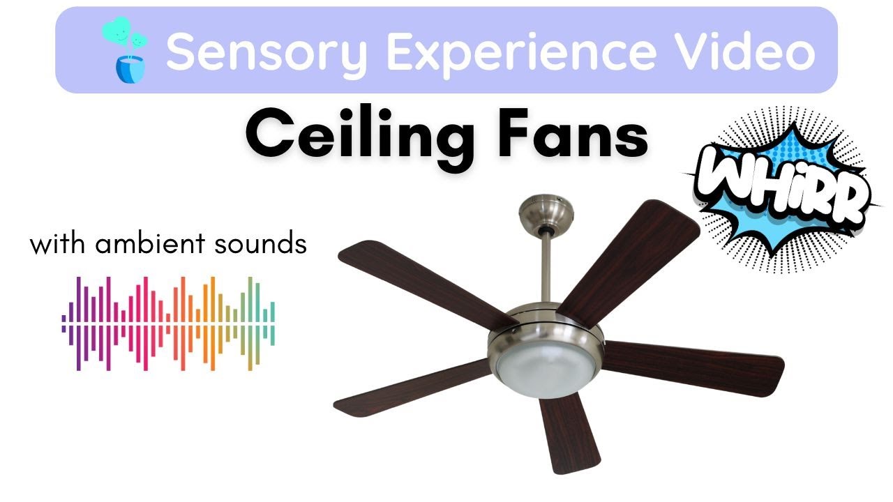 Soothing Sensory | Ceiling Fans | Ambient Fan Noise | Autism | ASD ...