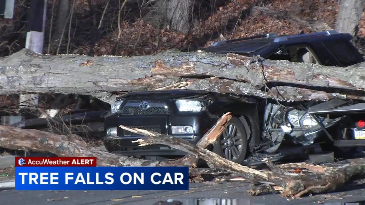 Couple hurt after tree crushes car during severe weather - YouTube