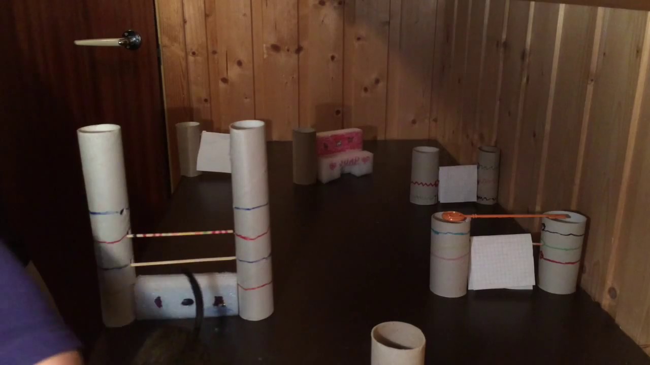 Degu (rodent) jumping tricks! - YouTube