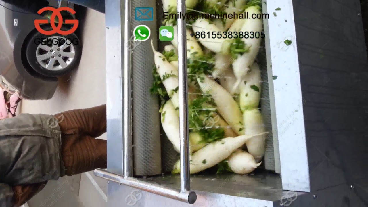 Automatic White Radish Washing Machine丨Vegetable Washing Machine ...