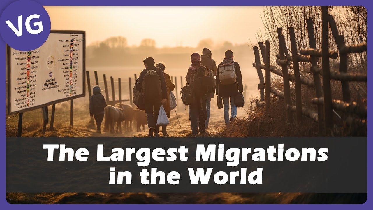 The Largest Migrations in the World - YouTube