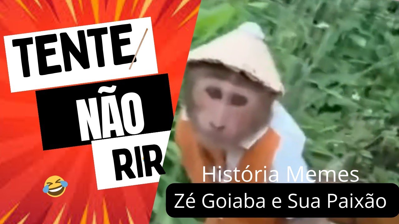 Zé Goiaba e sua paixão #narrador #cachorro #funny funnyvideos #caramelo ...