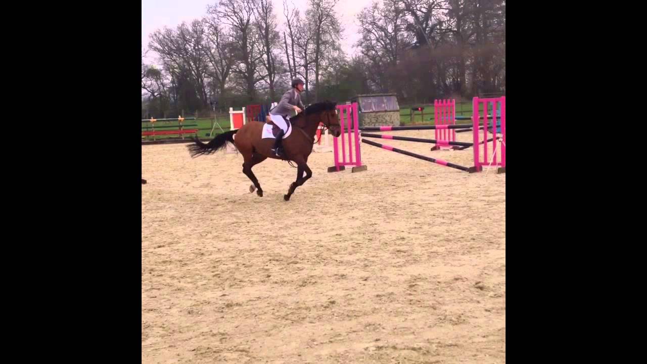 Sharon Hunt Eventing. - YouTube