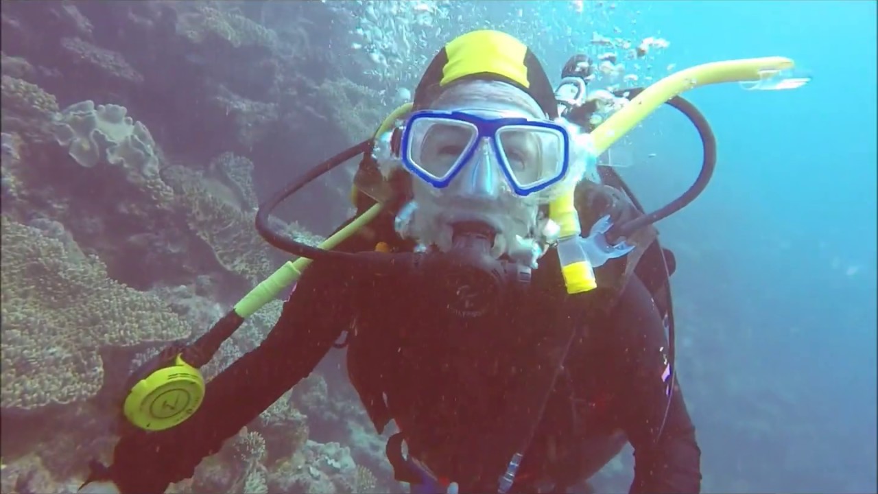 Geeks Dive the Great Barrier Reef - YouTube