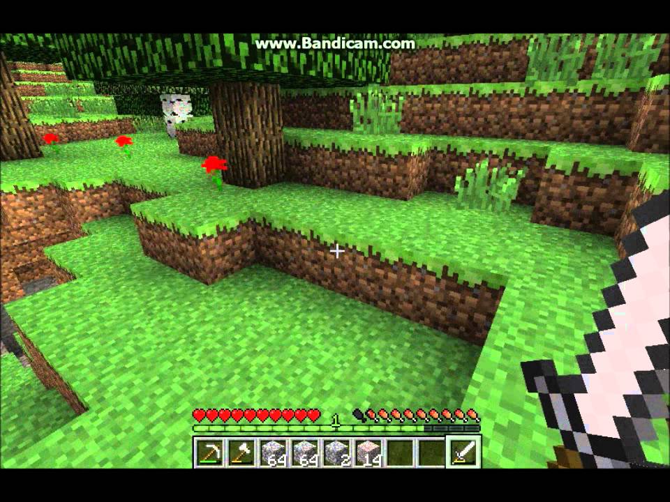 Minecraft Adventure Episode : 2 Army of chickens - YouTube