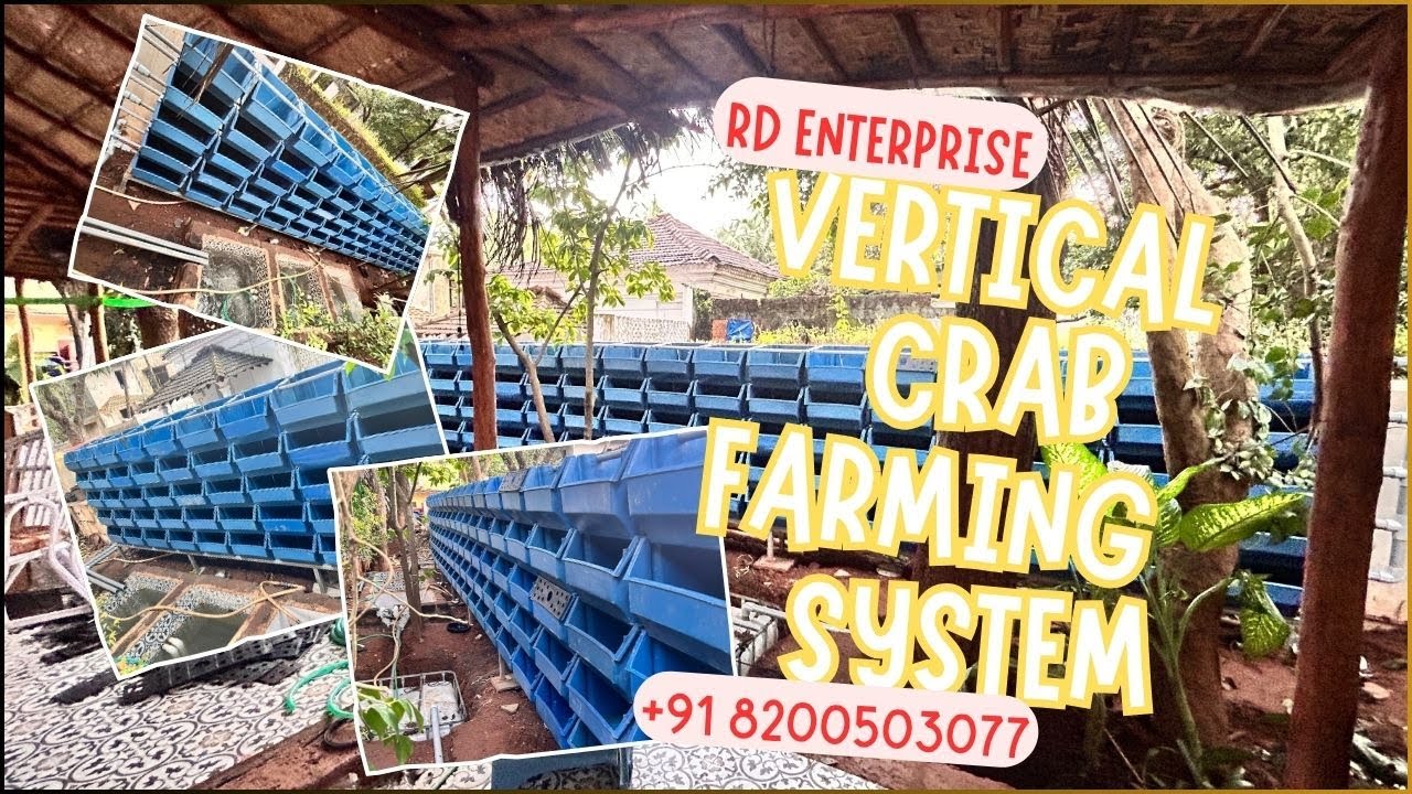 VERTICAL CRAB FARMING SYSTEM IN INDIA INTRODUCE BY RD ENTERPRISE - YouTube