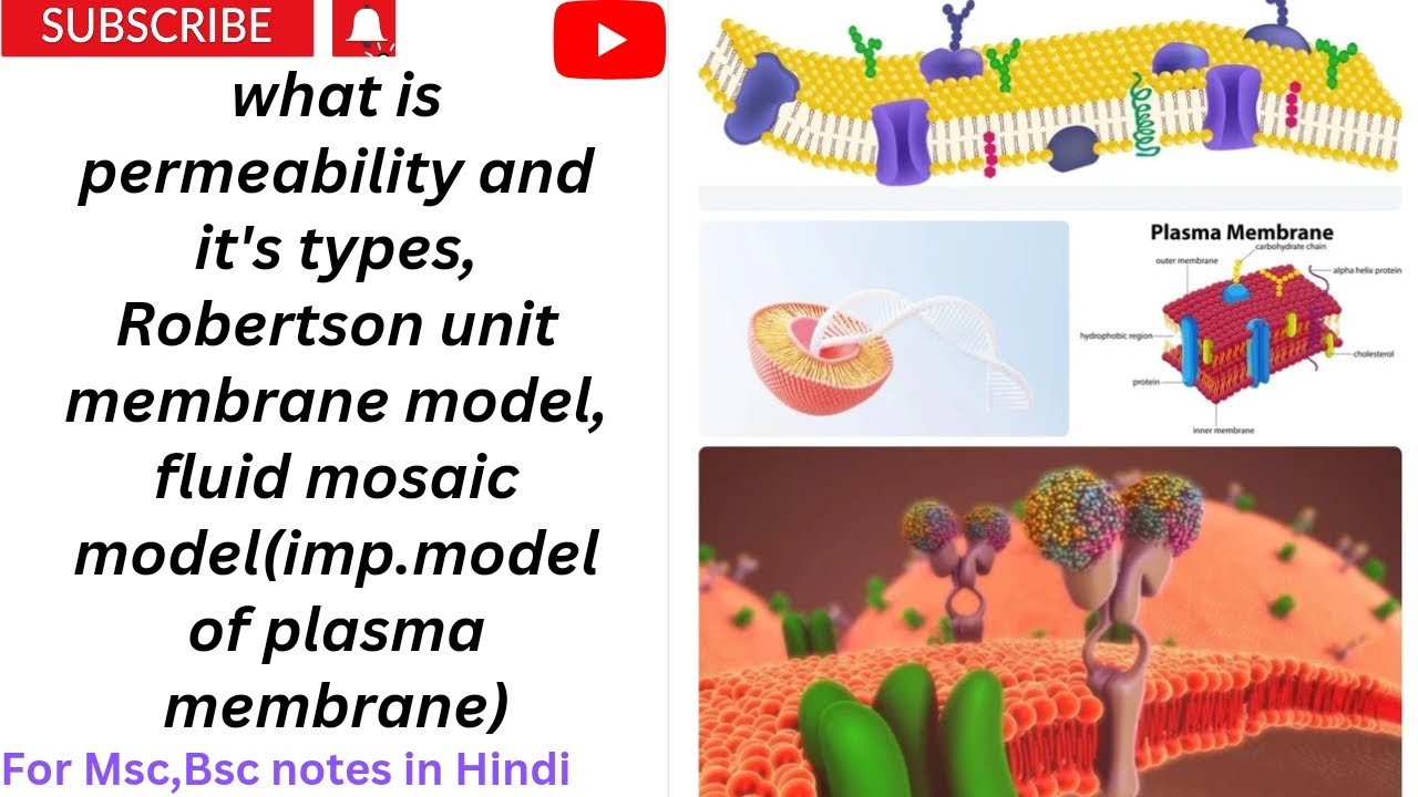 What is permeability, Robertson unit membrane model, fluid mosaic model ...