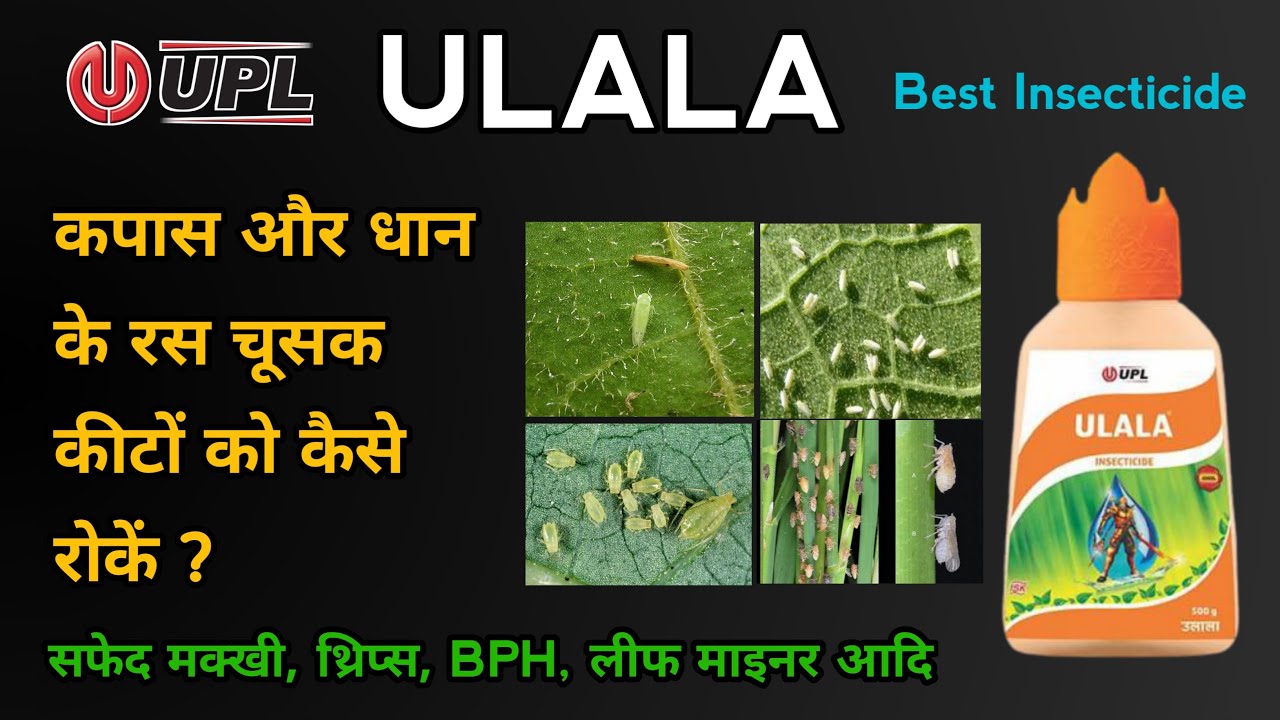 UPL Ulala Insecticide | Flonicamid 50% WG | रस चूसक कीटों के लिए ...