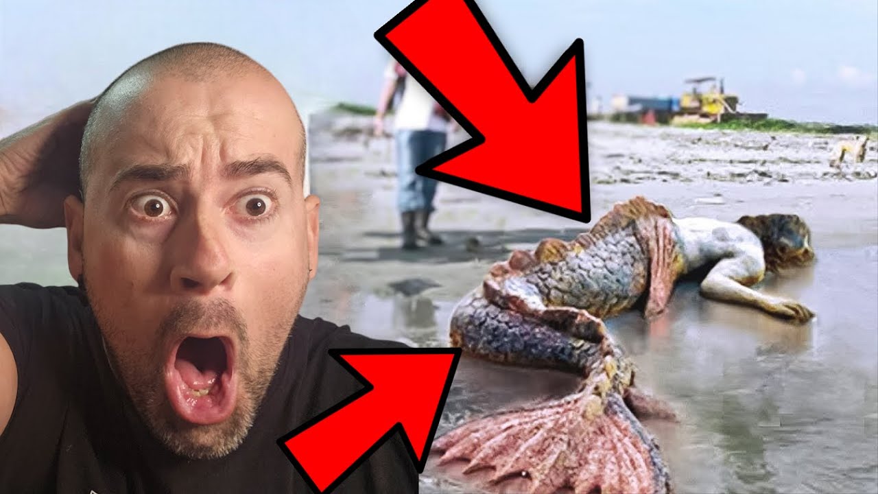 SIRENA REAL CAPTADA en un MISTERIOSO ACANTILADO 9 | Laguna Negra - YouTube