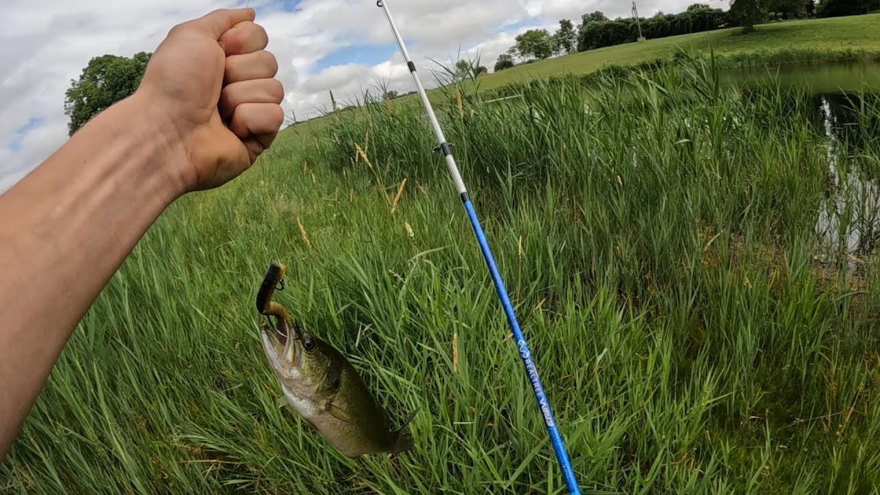 Unbelievable Largemouth Bass Action at the Double Pond - YouTube
