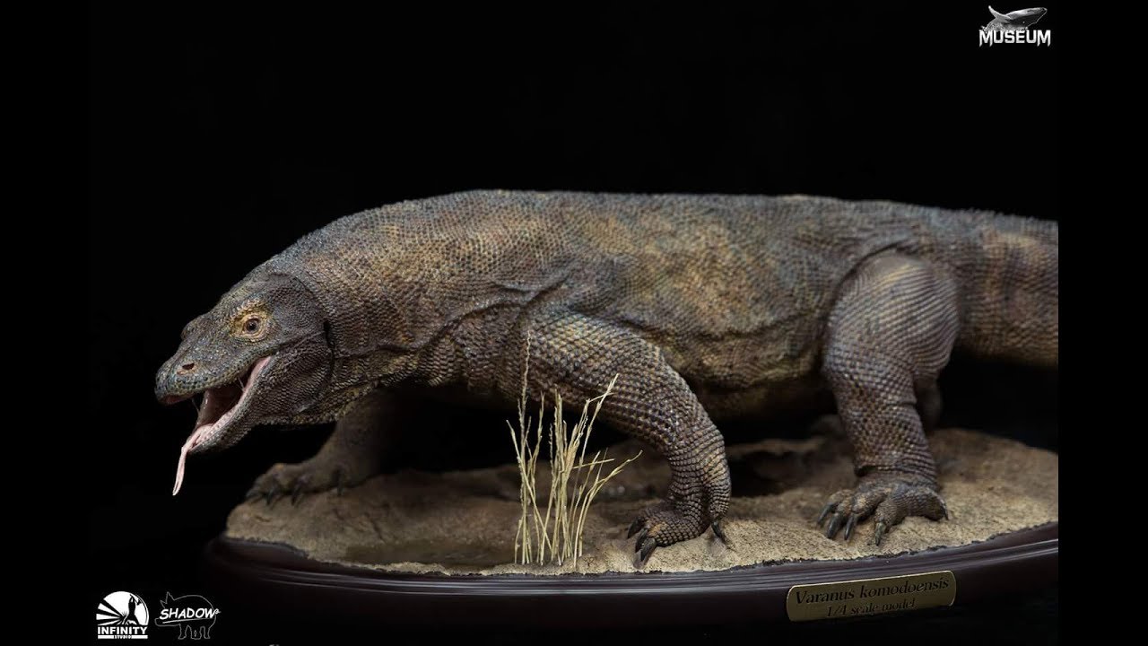 Infinity Studio Museum Series Komodo Dragon Statue - YouTube