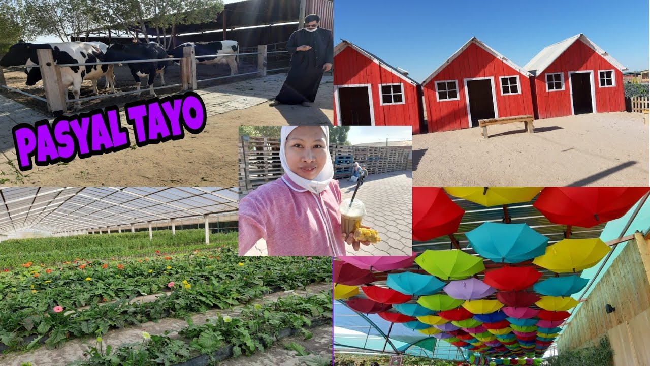 Blue Lake || Abdhali Farm Kuwait || Gala Mode - YouTube