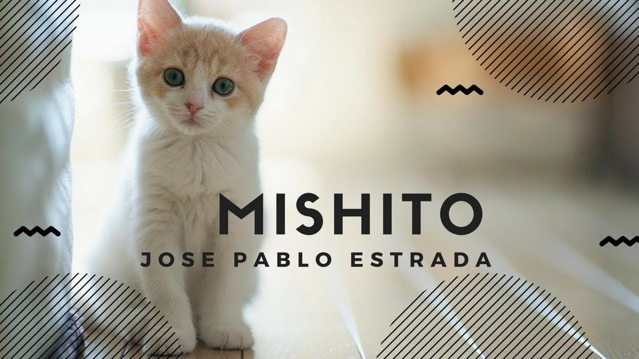 MISHITO MIO con letra - YouTube