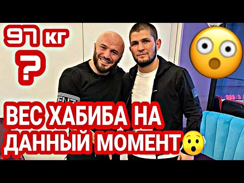 Хабиб Назвал Свой Актуальный Вес / Сколько весит Хабиб сейчас