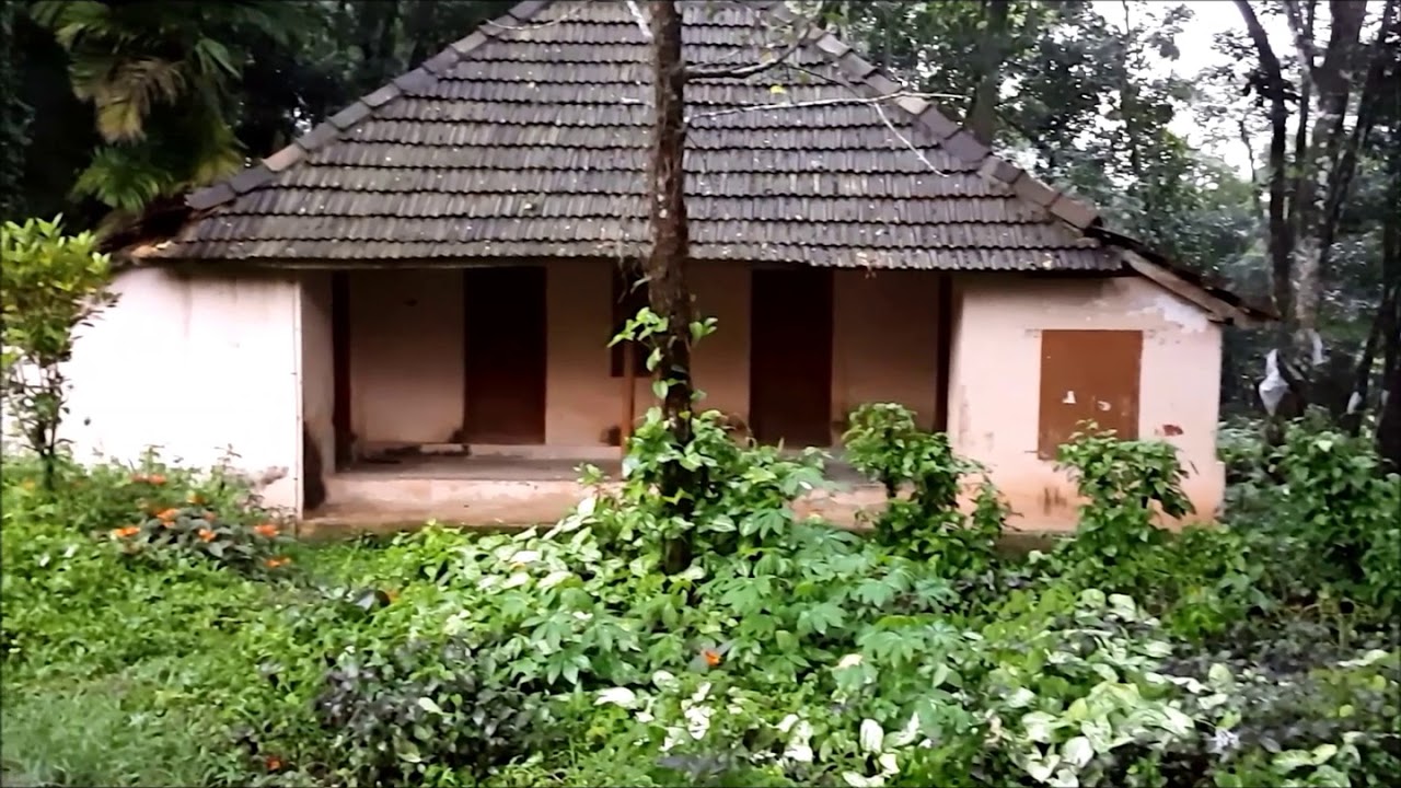 Rural village in kerala,India - YouTube