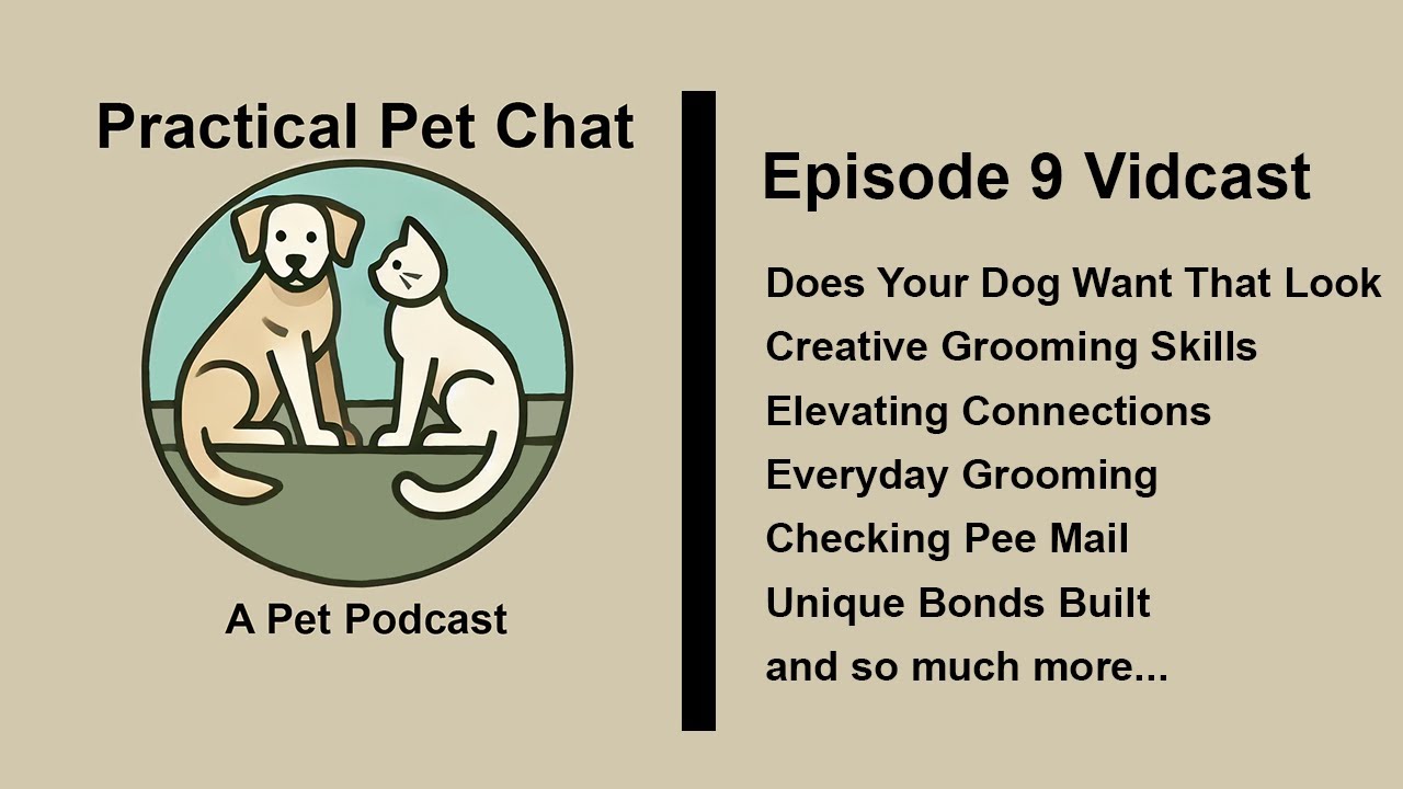 Practical Pet Chat - Ep 9 2025 - Creative Grooming, Everyday grooming ...