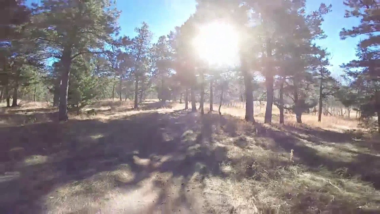 Owl's Perch Trail | Birds of a feather | By OneSunChaser - YouTube