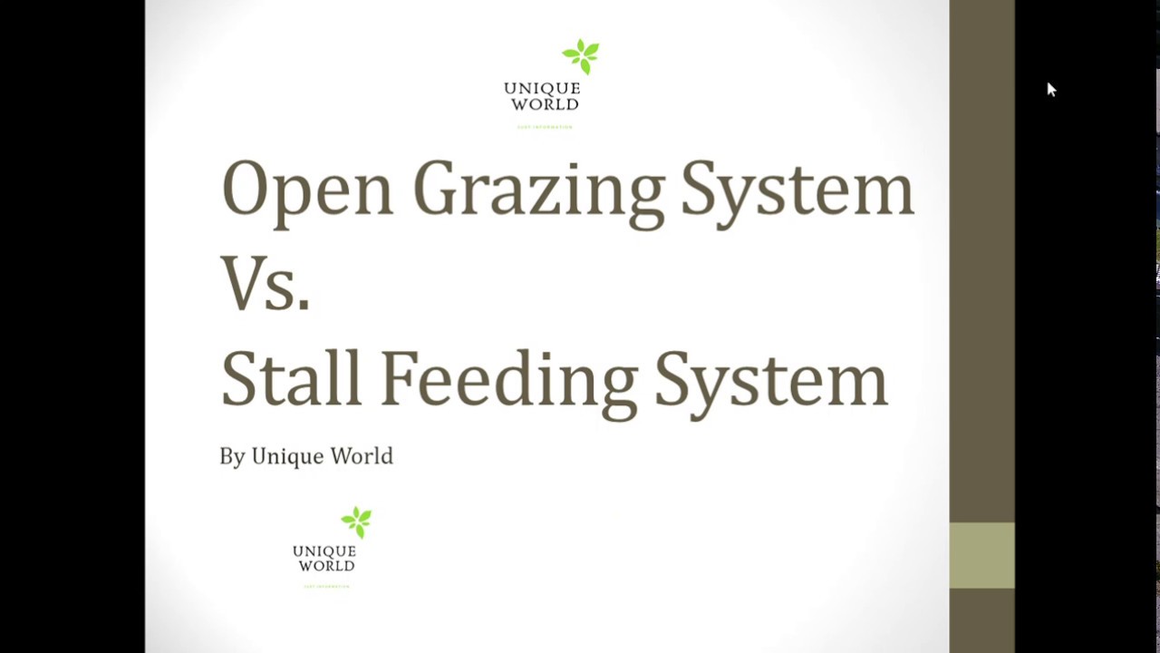 Goats Open Grazing System Vs Stall Feeding System | Goat Farming ...